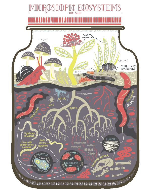 Sustainable Italian Specialties From The Region BioDistretto Lago Di ...